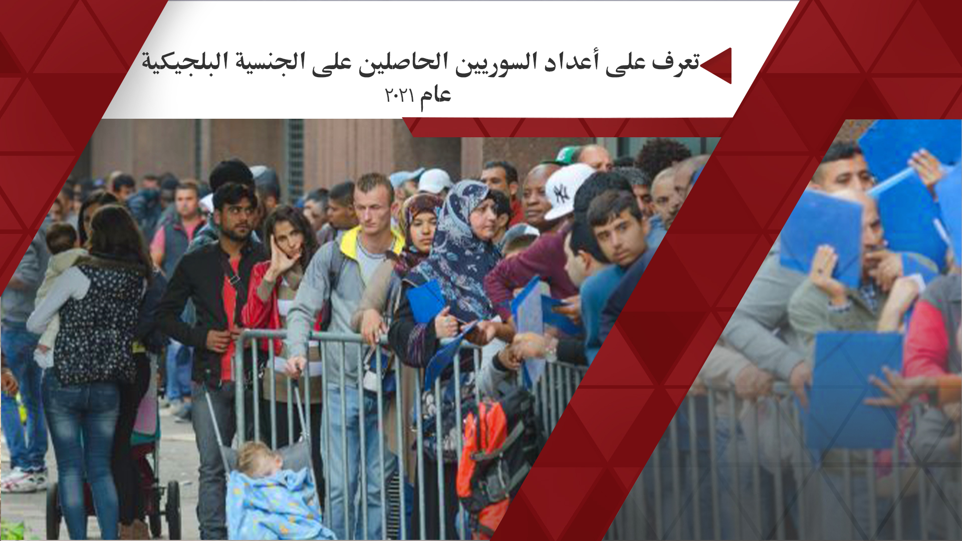 تعرف على أعداد السوريين الحاصلين على الجنسية البلجيكية عام 2021